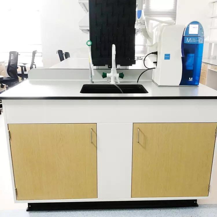Biologic Laboratory Work Benches Adjustable Lab Bench Science Lab Work ...